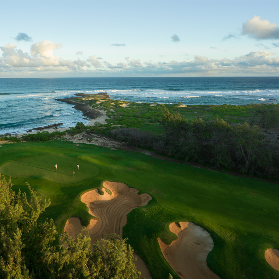 Main - Turtle Bay - Golf Course